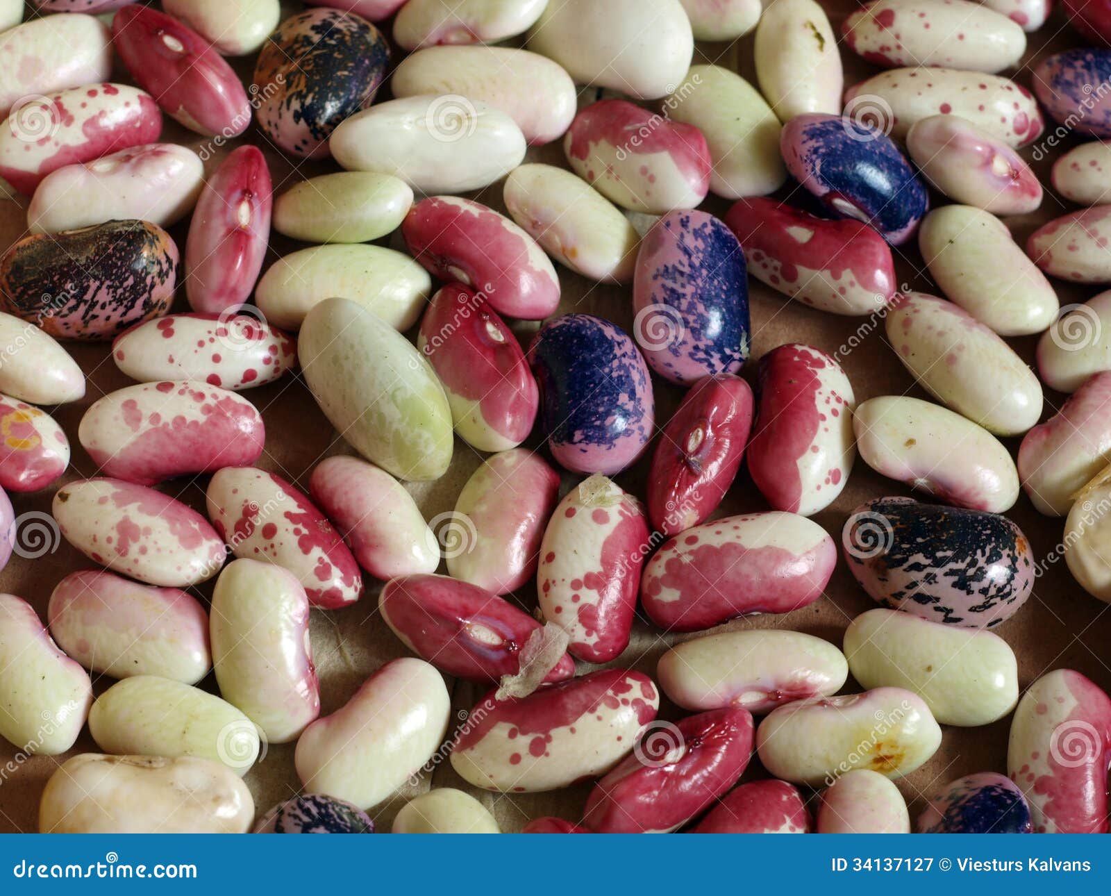 Colorful beans stock image. Image of healthy, beans, haricot - 34137127