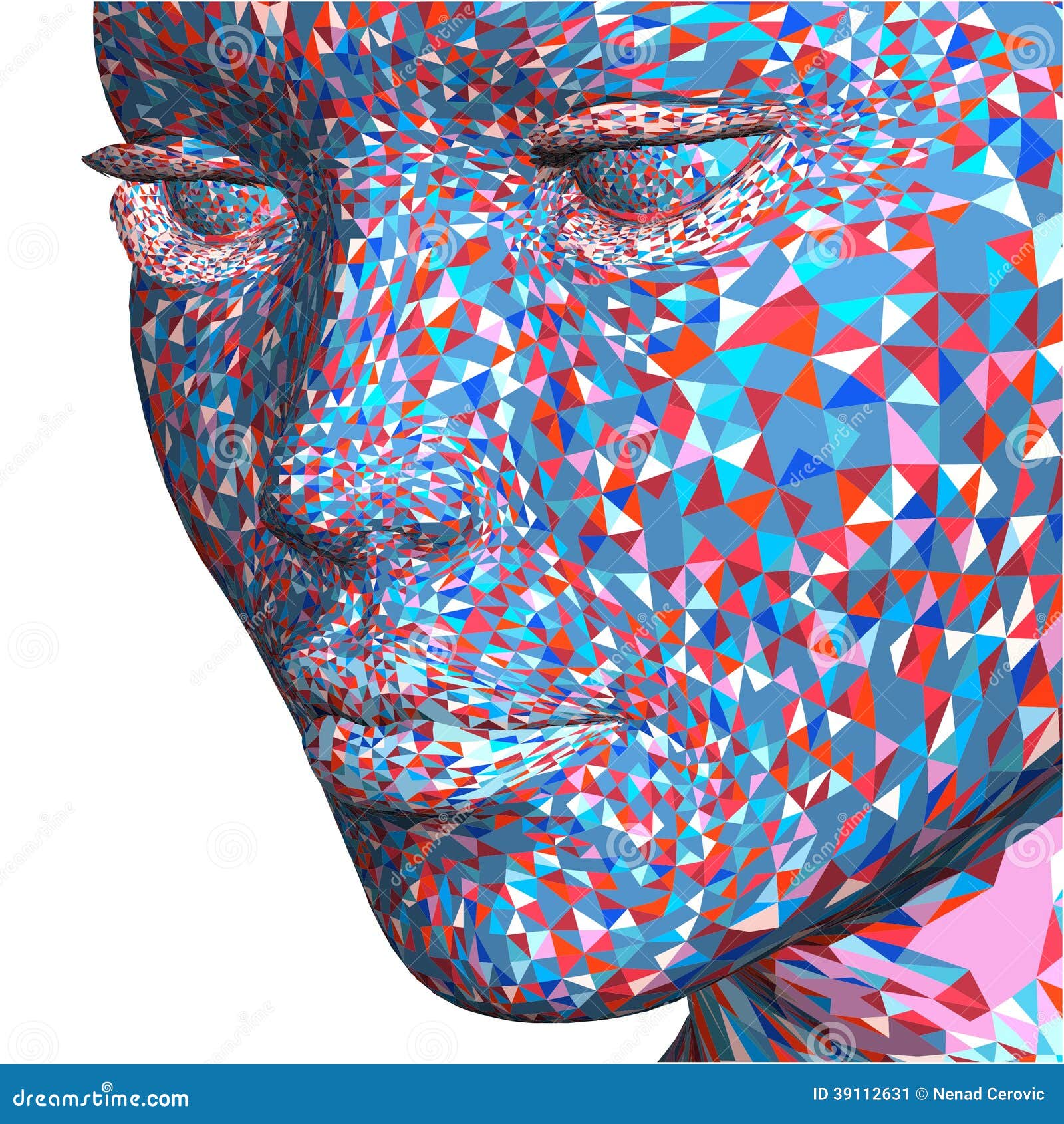 Colorful Beatiful Face Made of Small Triangles Stock Vector ...