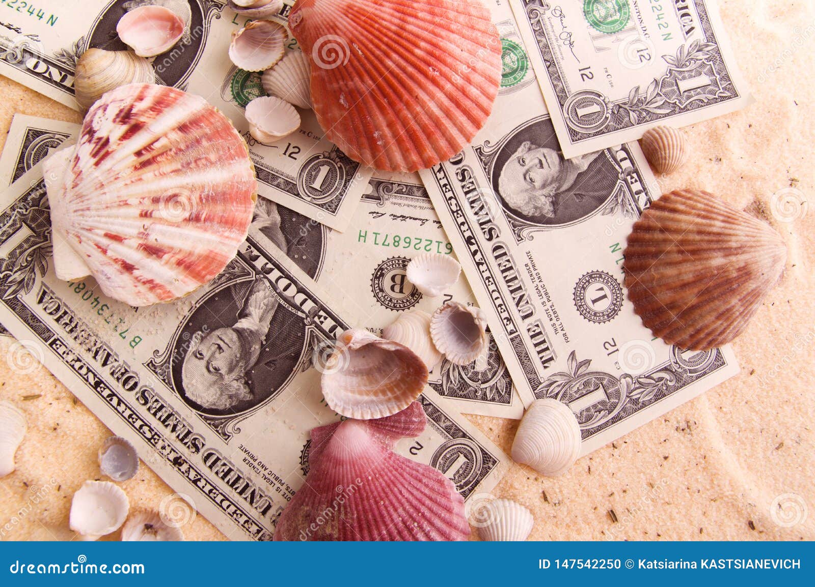 Seashells Colorful Beautiful Lie on the Dollar Banknotes Stock Photo ...