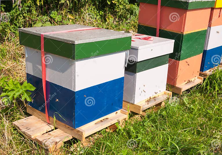 Colorful bee hives stock photo. Image of insect, group - 25885038