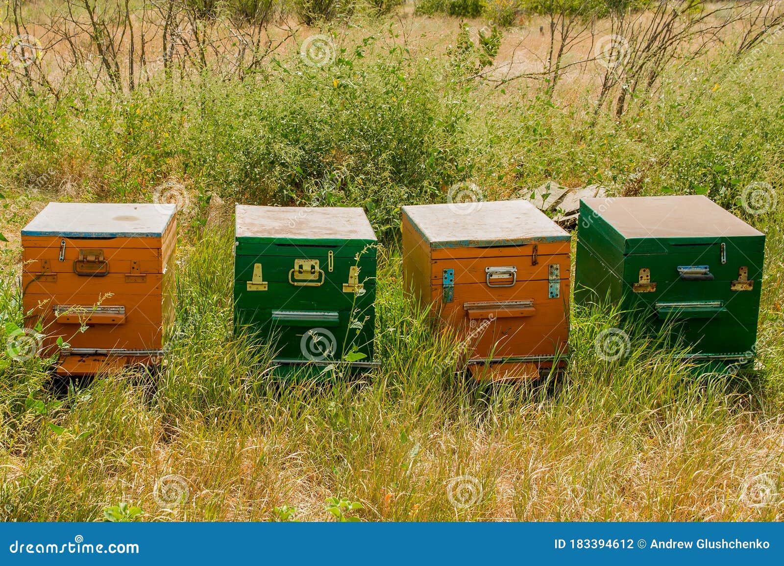Colorful Bee Hives in the Apiary Stock Photo - Image of outdoors ...