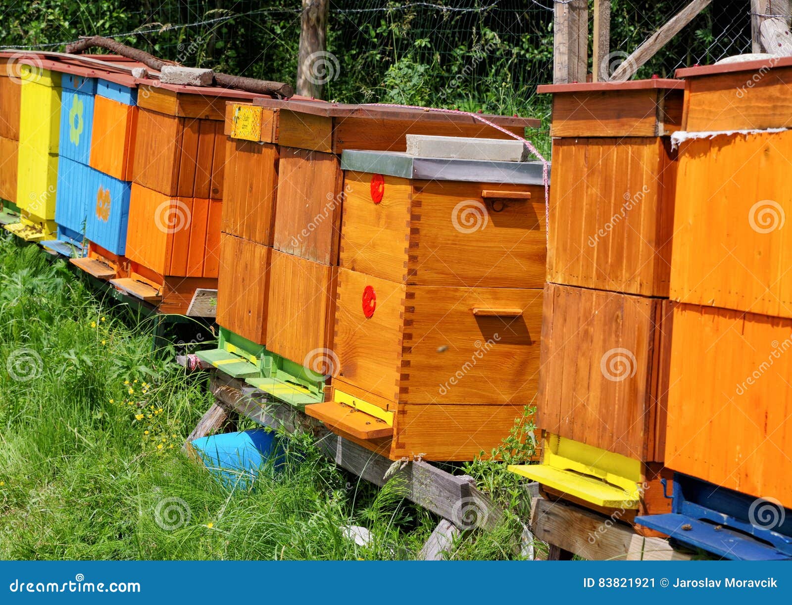 Colorful bee hives stock image. Image of country, bees - 83821921