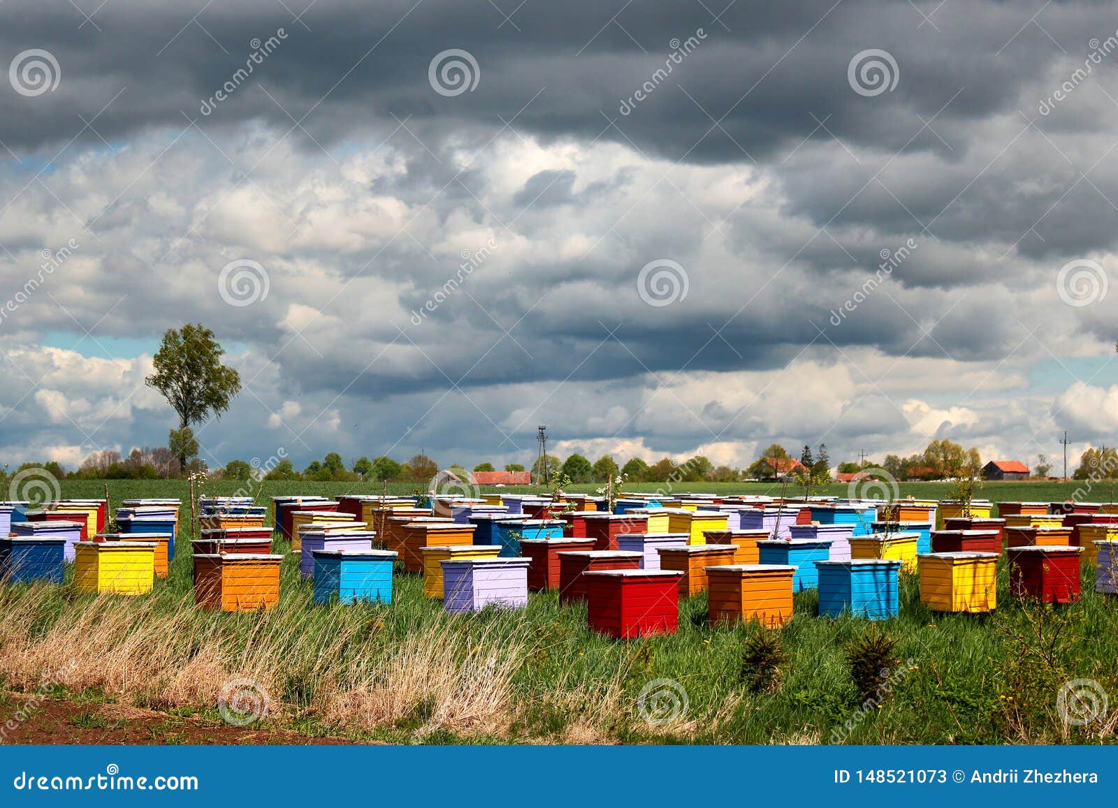 Colorful Bee Hives in a Countryside Stock Image - Image of jelly, honey ...