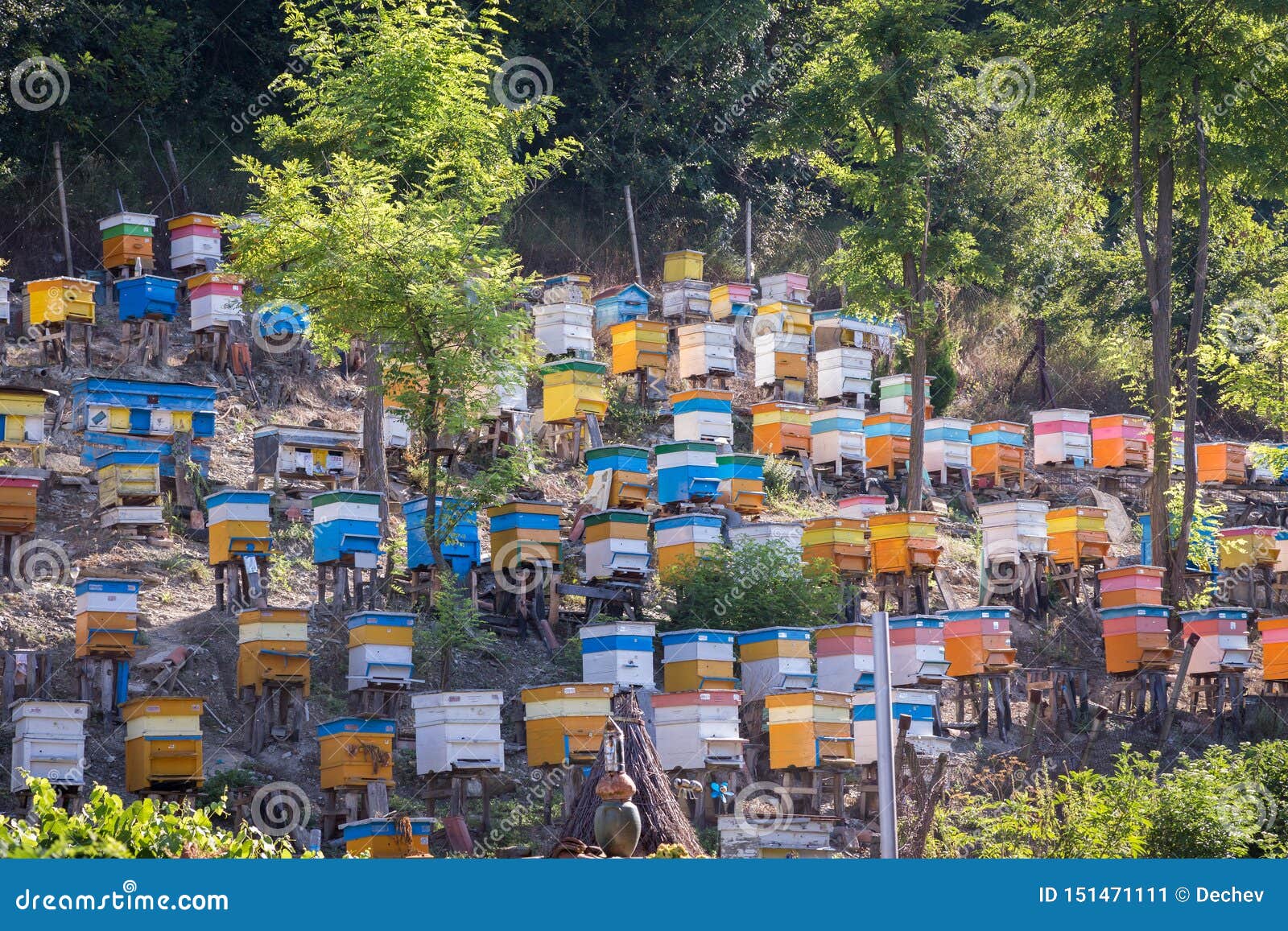 Colorful Bee Hives in Forest Stock Image - Image of farm, farming ...