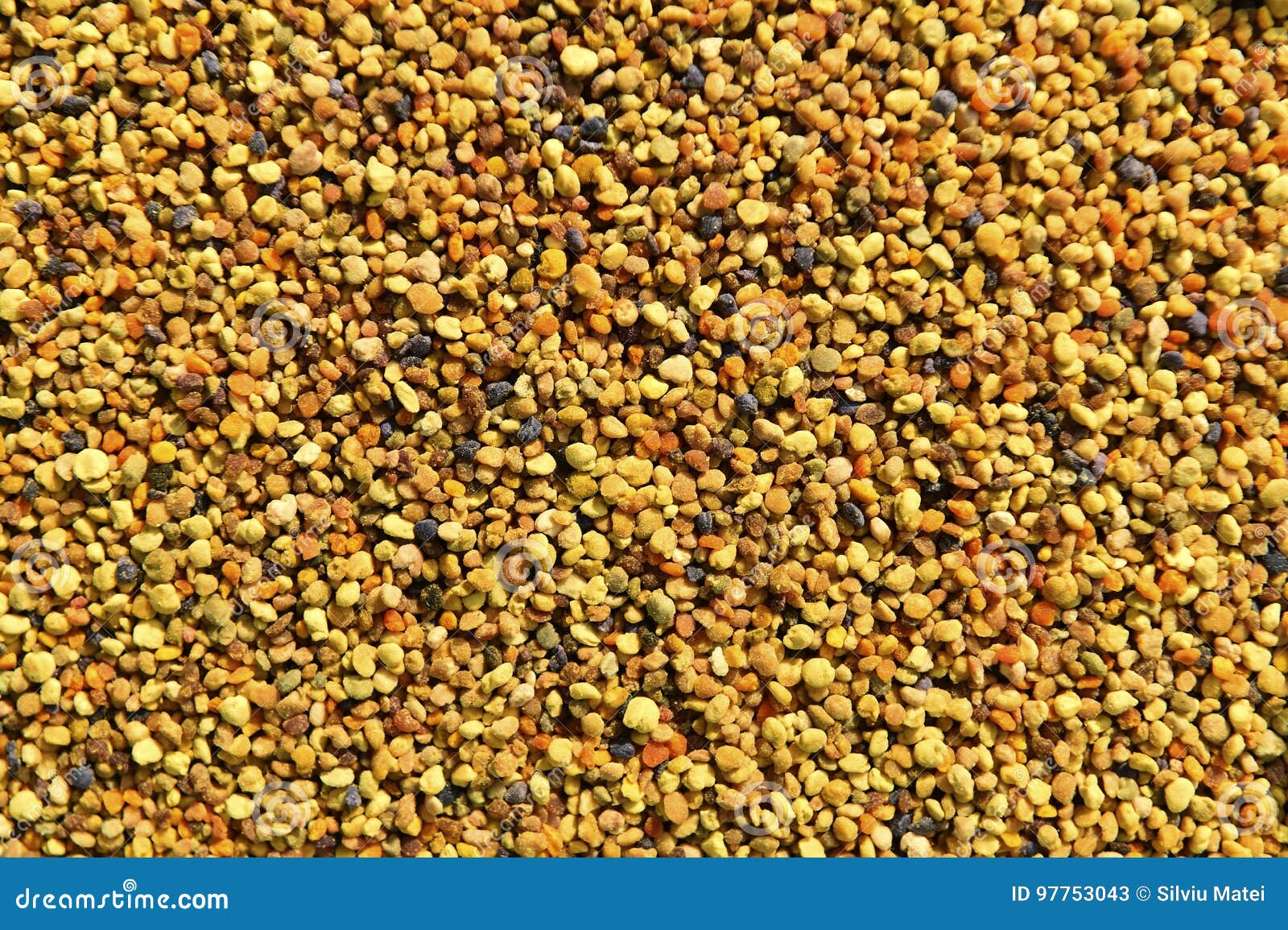 Colorful Bee Pollen Background Stock Image - Image of alternative ...
