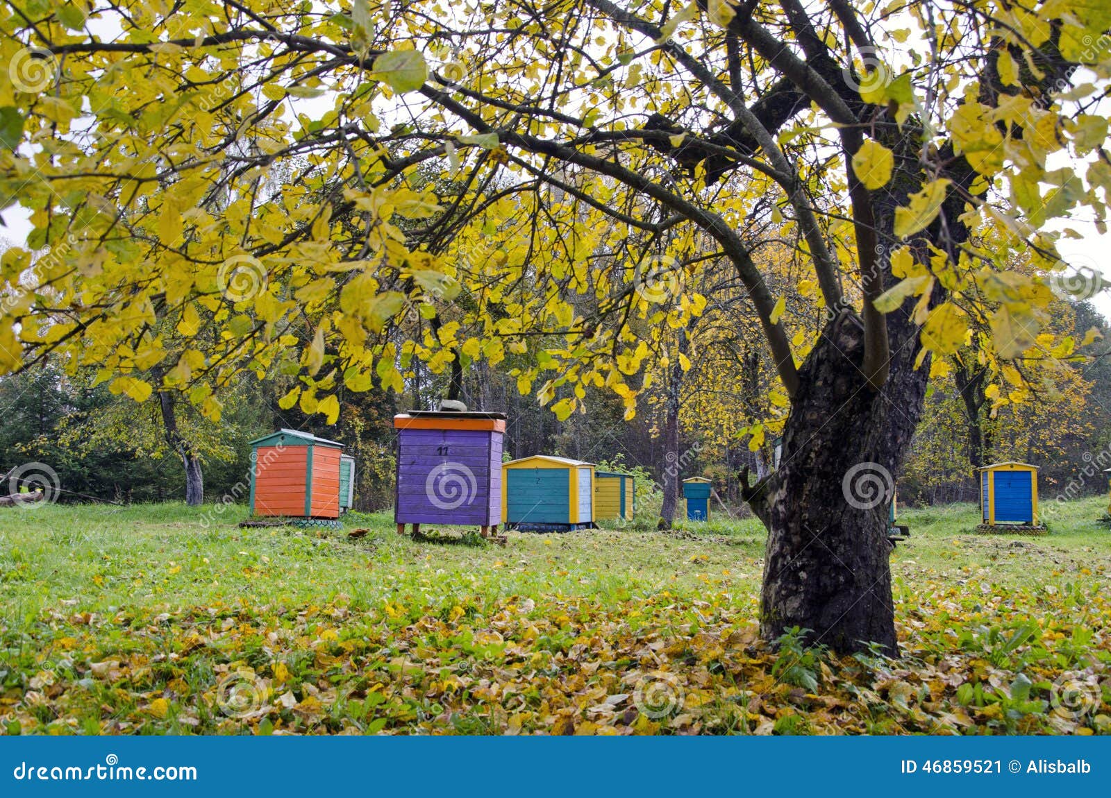 Colorful Beehive in Autumn Time Garden Stock Image - Image of rural ...