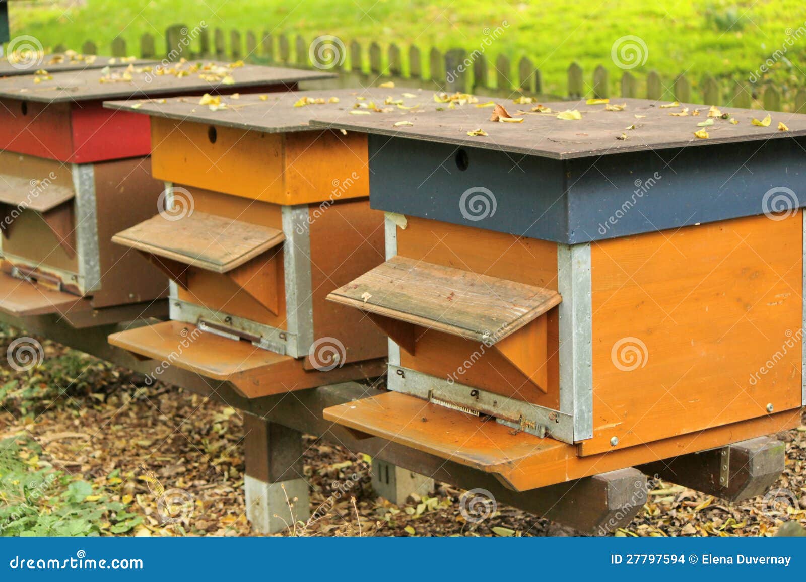 Colorful beehives stock photo. Image of green, harvest - 27797594