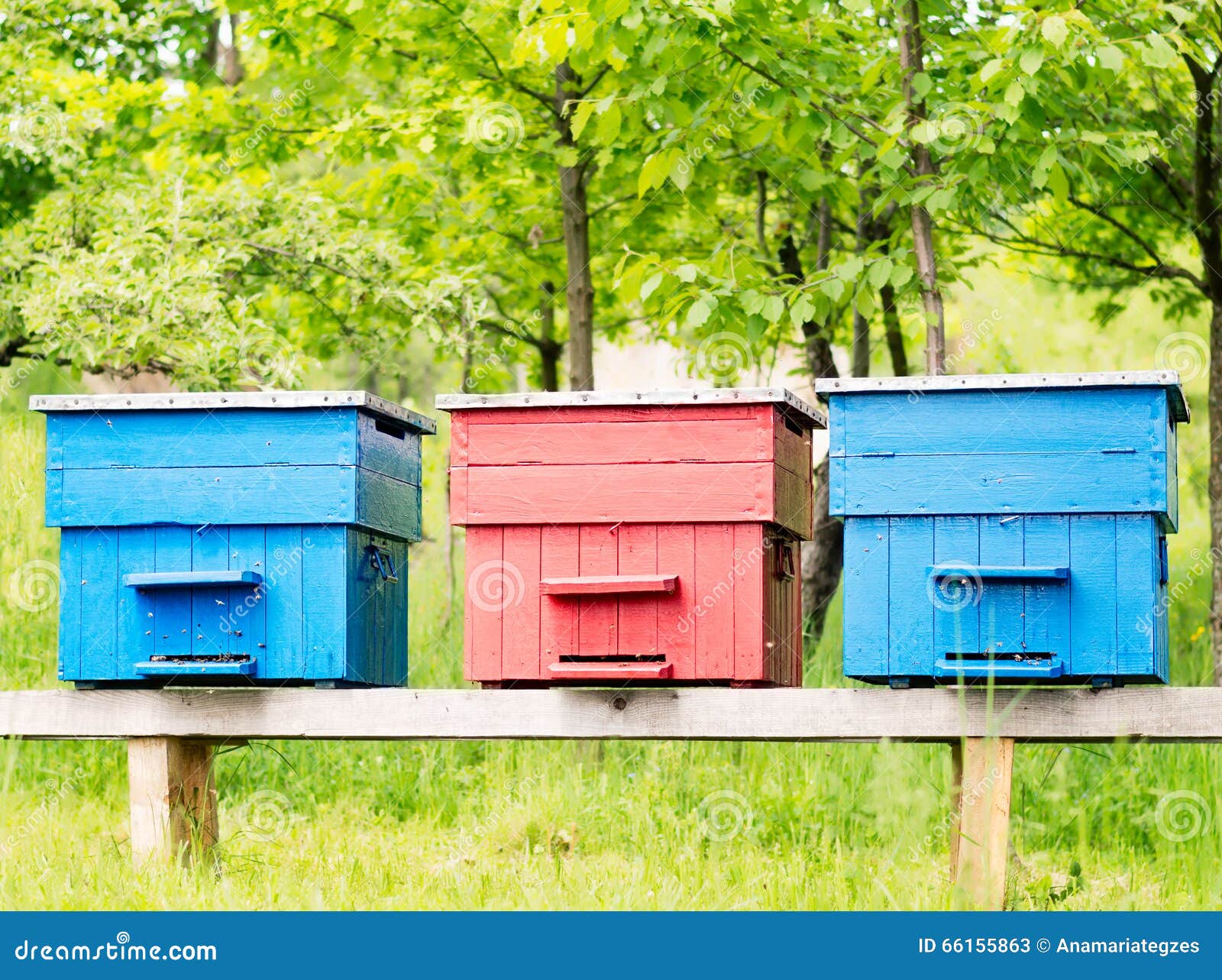 Colorful Beehives stock image. Image of beekeeping, nectar - 66155863