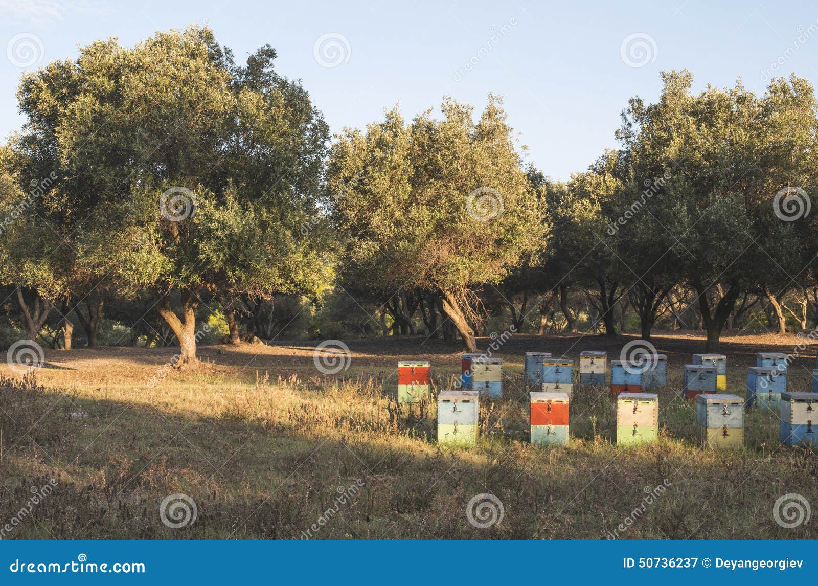 Colorful beehives stock image. Image of landscape, summer - 50736237