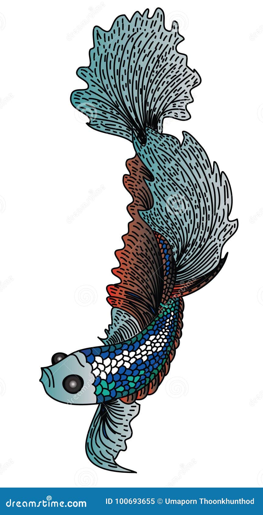 Colorful Betta Fish Vector.beautiful Fighting Fish. Stock Vector ...