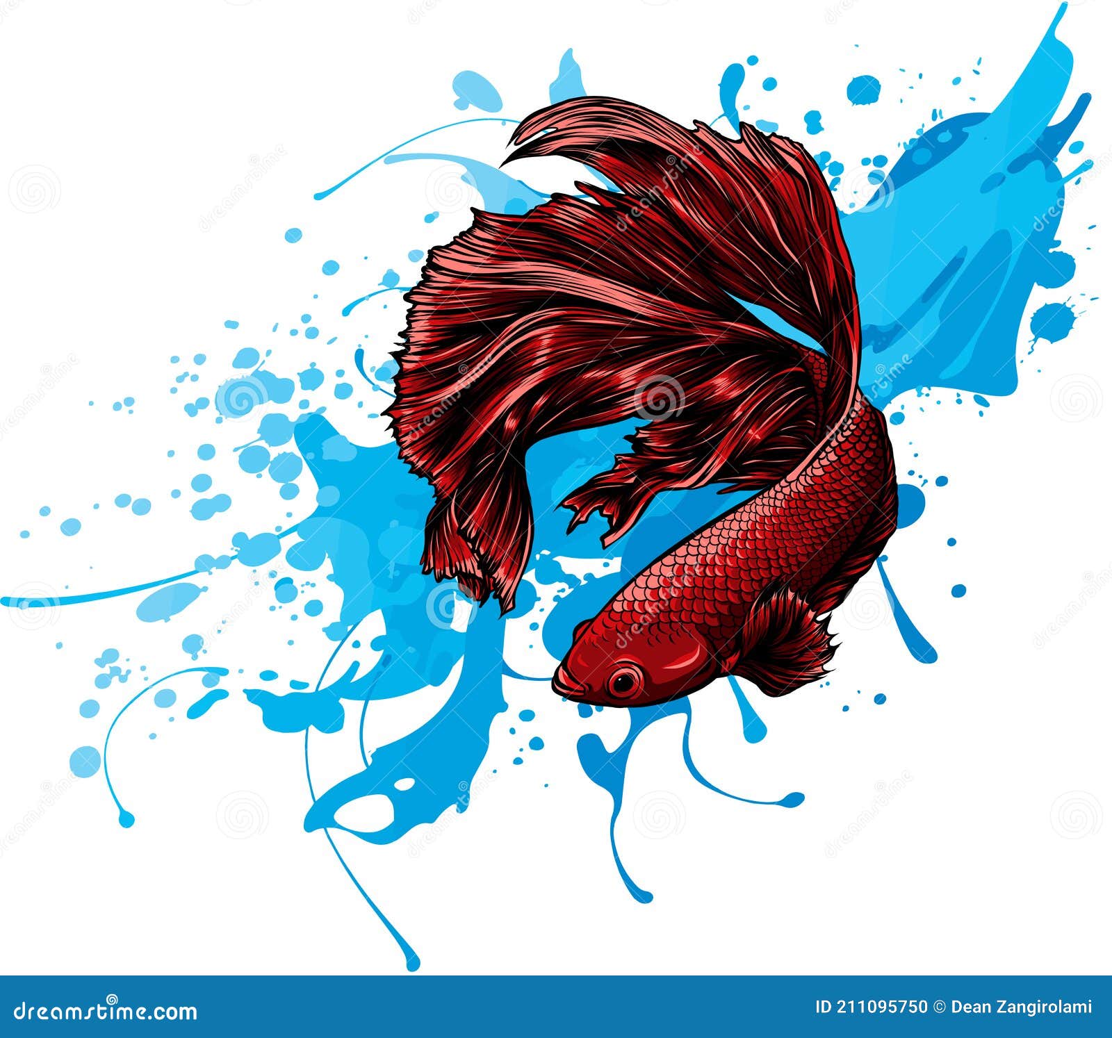 Colorful Betta Fish with Water Splash Vector Illustration. Stock Vector ...