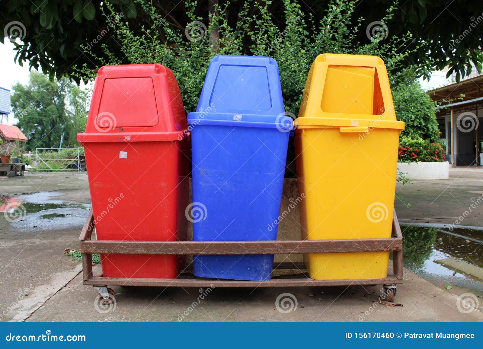 Colorful Bin Under the Tree. Stock Photo - Image of cage, yellow: 156170460
