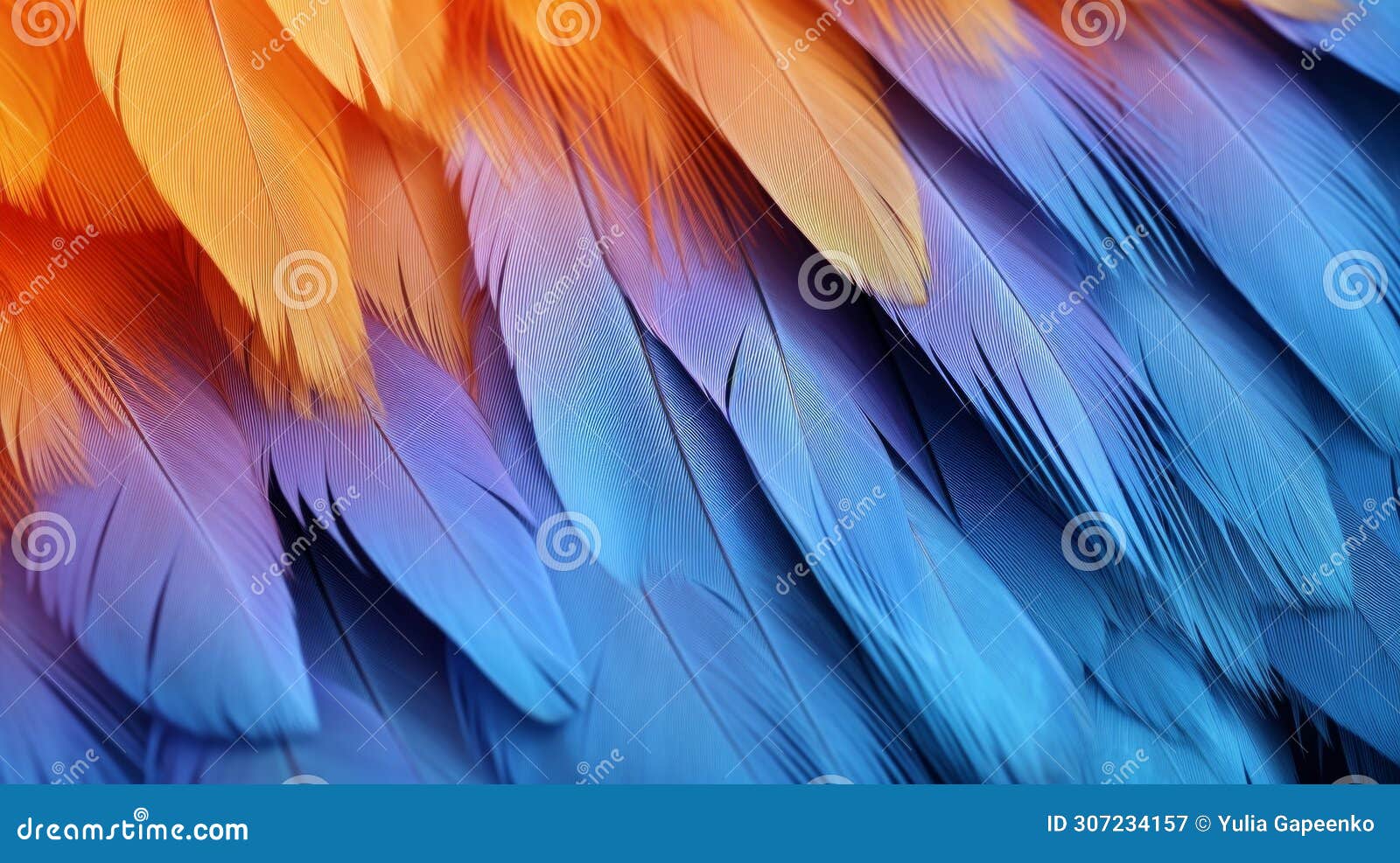 Colorful Bird Feather Texture Creating a Beautiful Background Stock ...