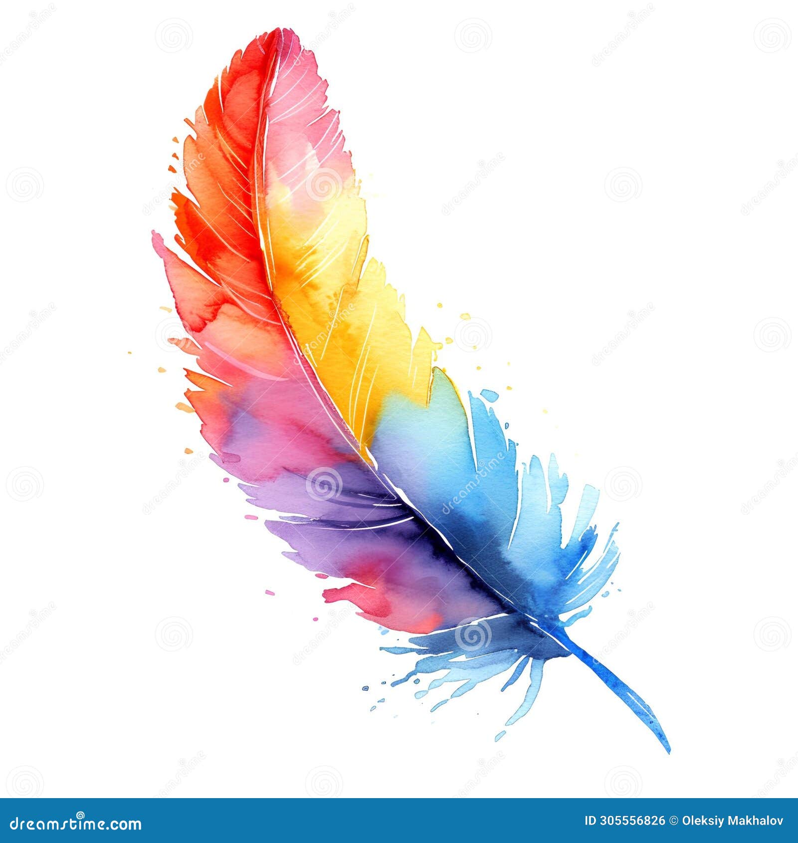 Colorful Bird Feather Watercolor Paint Stock Illustration ...
