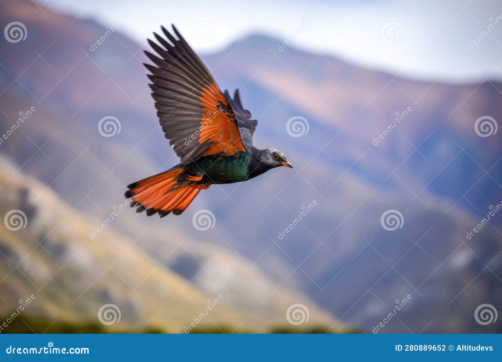 Colorful Bird in Flight Against Scenic Mountain Backdrop Stock ...