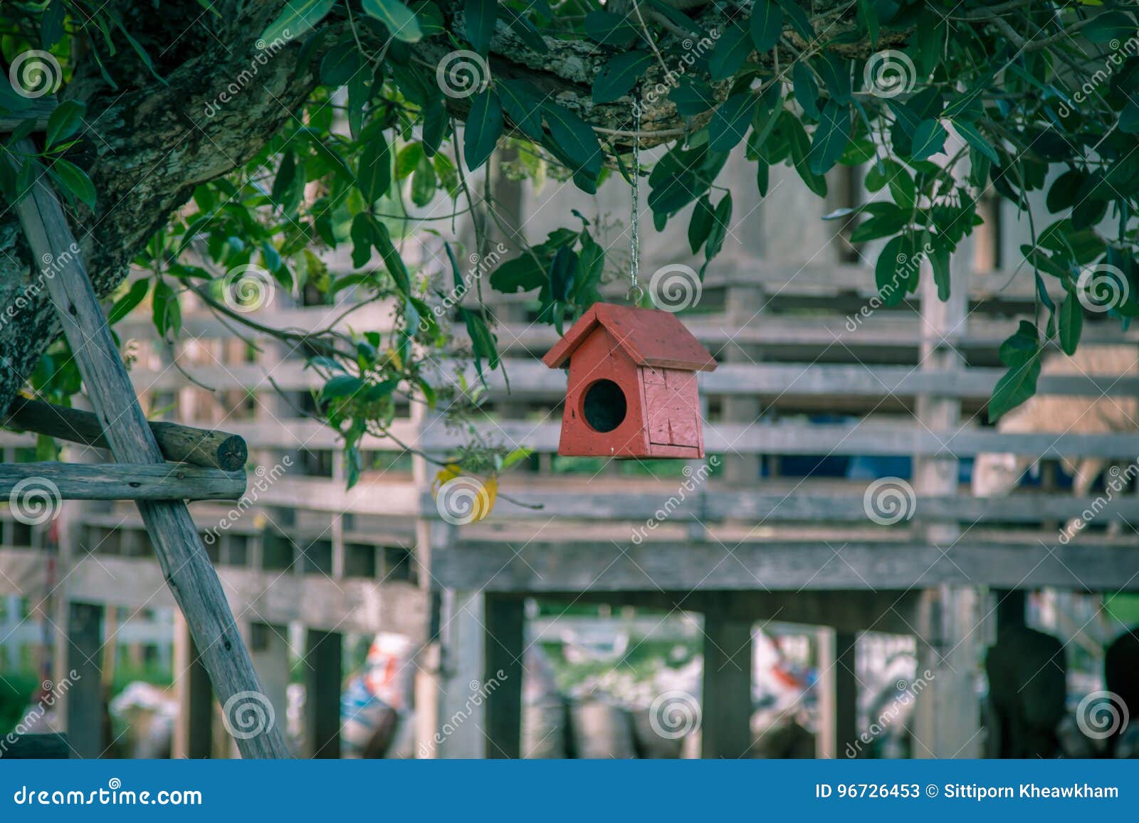 Colorful bird nest stock image. Image of birdhouse, hanging - 96726453