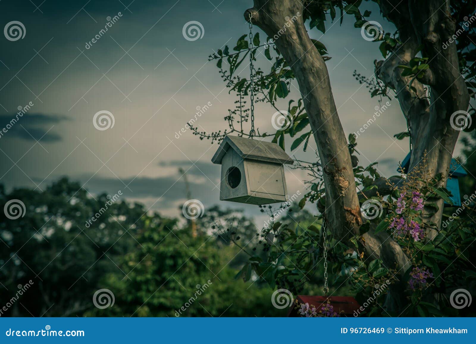 Colorful bird nest stock image. Image of animal, birds - 96726469