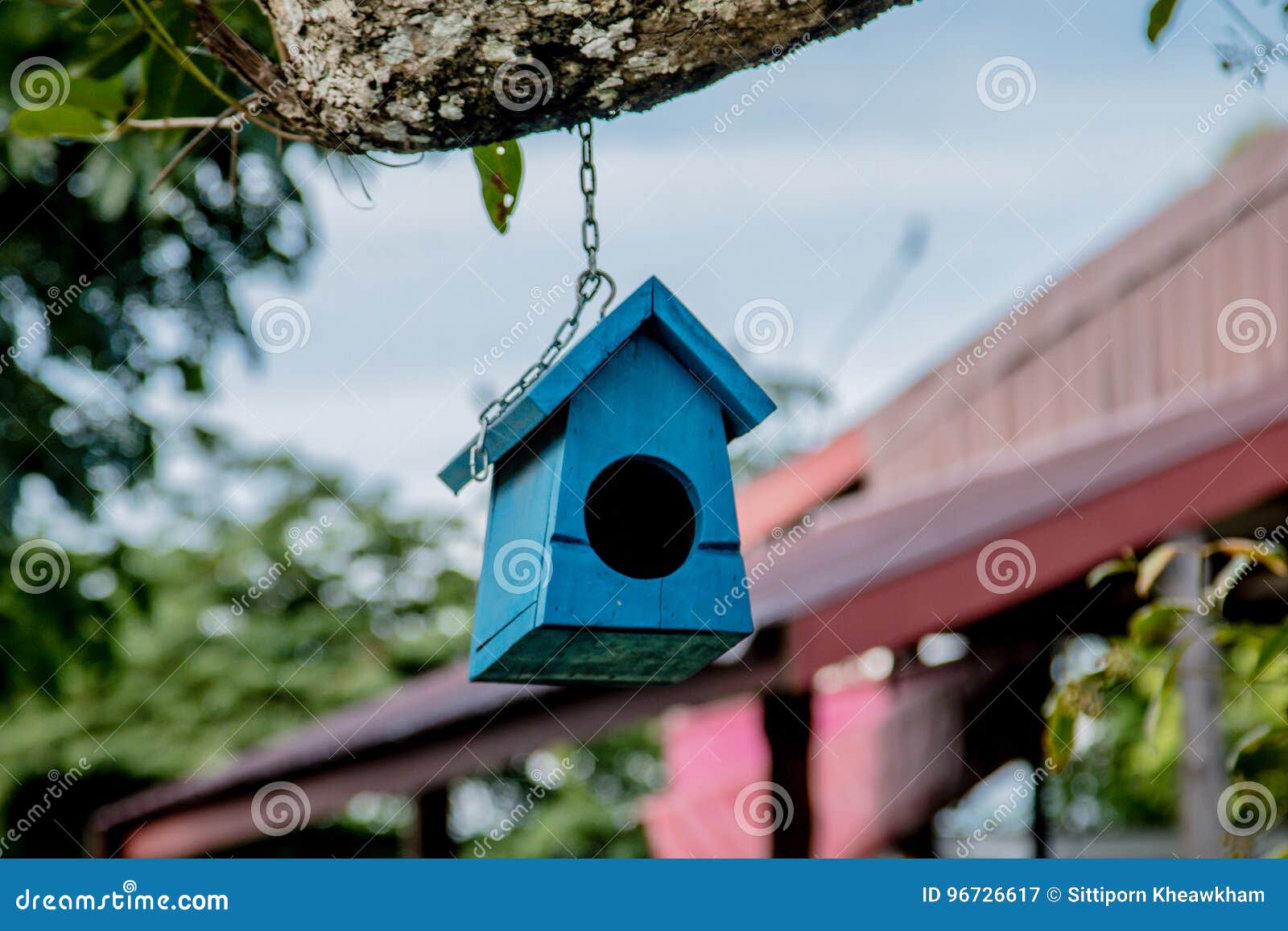 Colorful bird nest stock image. Image of colorful, outdoor - 96726617