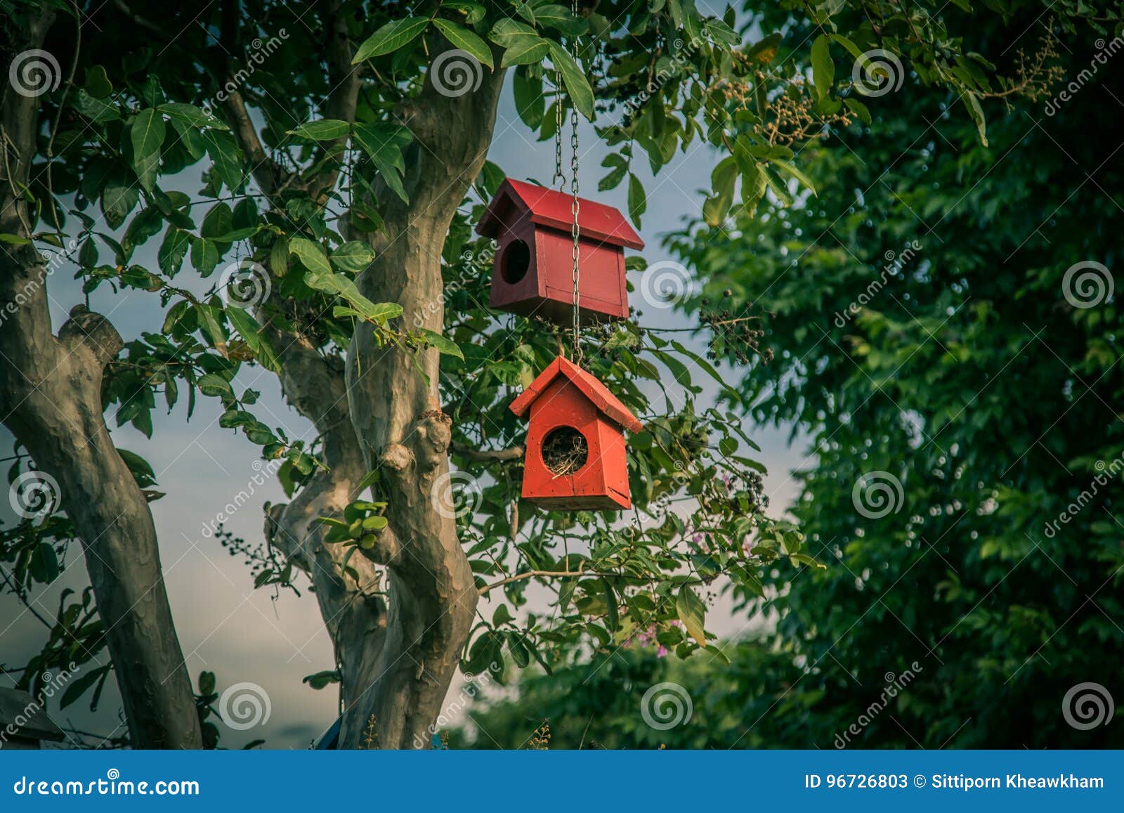 Colorful bird nest stock image. Image of home, nest, garden - 96726803