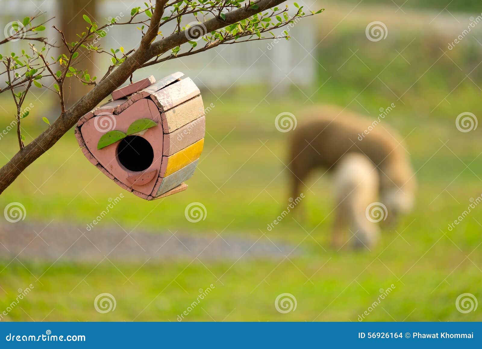 The colorful bird s nest stock photo. Image of paint - 56926164
