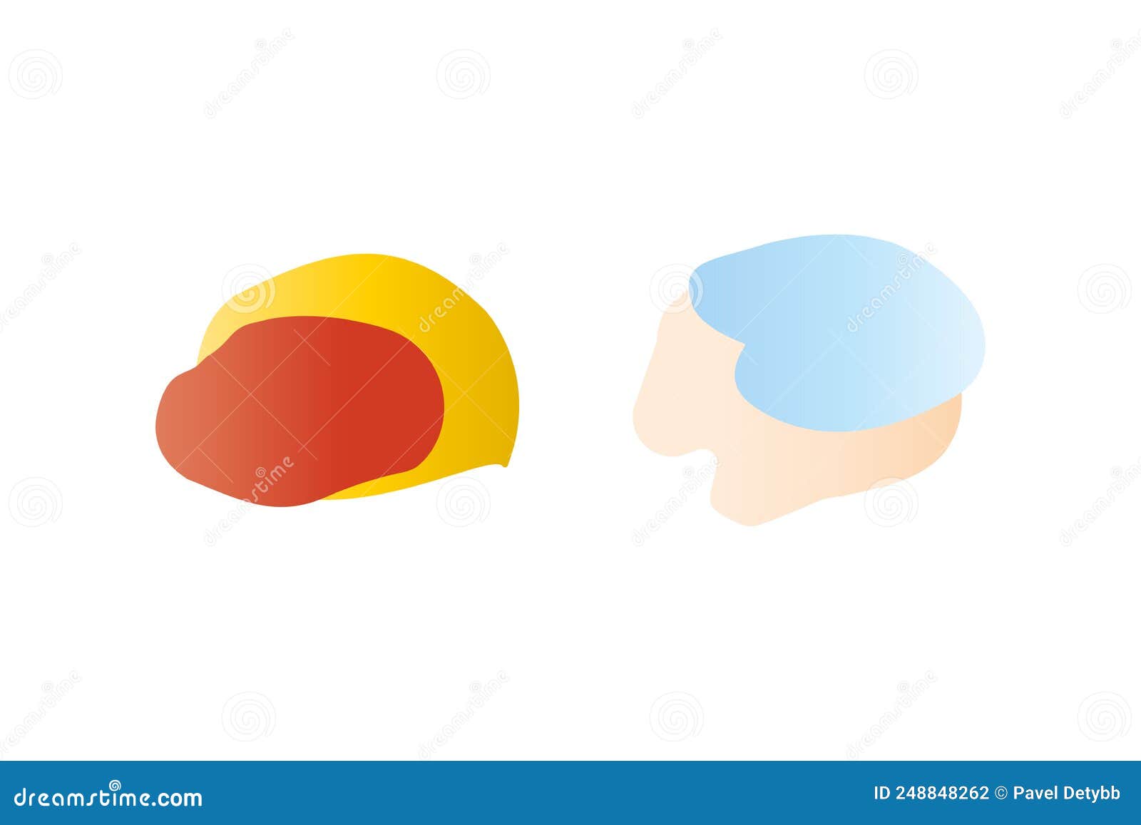 Colorful Blob Colors Isolated On White Background, Primary Colors For ...