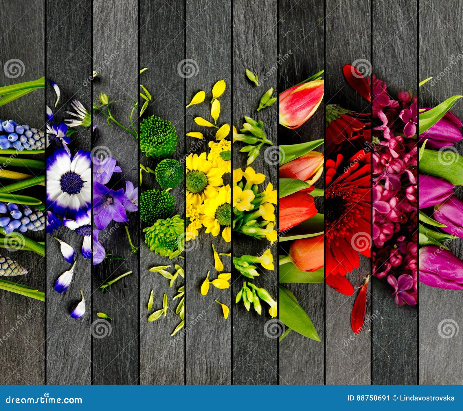 Colorful Bloom Mix stock image. Image of gerber, flower - 88750691
