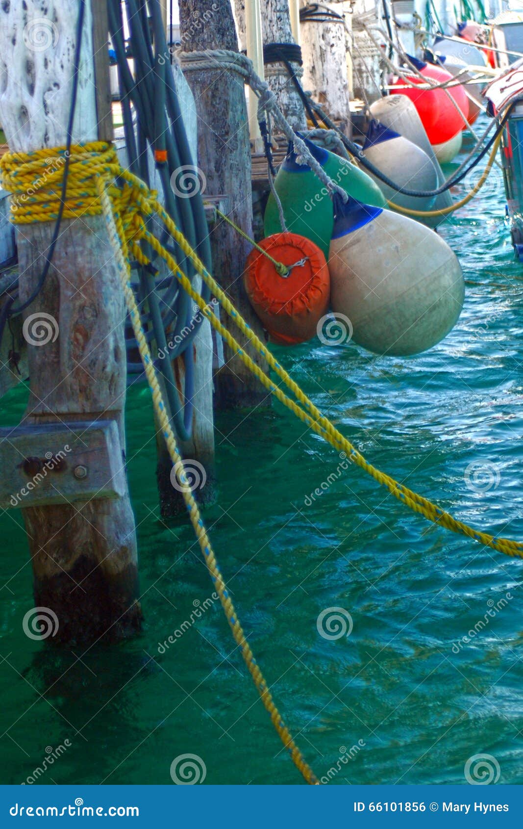Colorful Boat Bumpers on the Dock at a Marina in Mexico Stock Photo ...