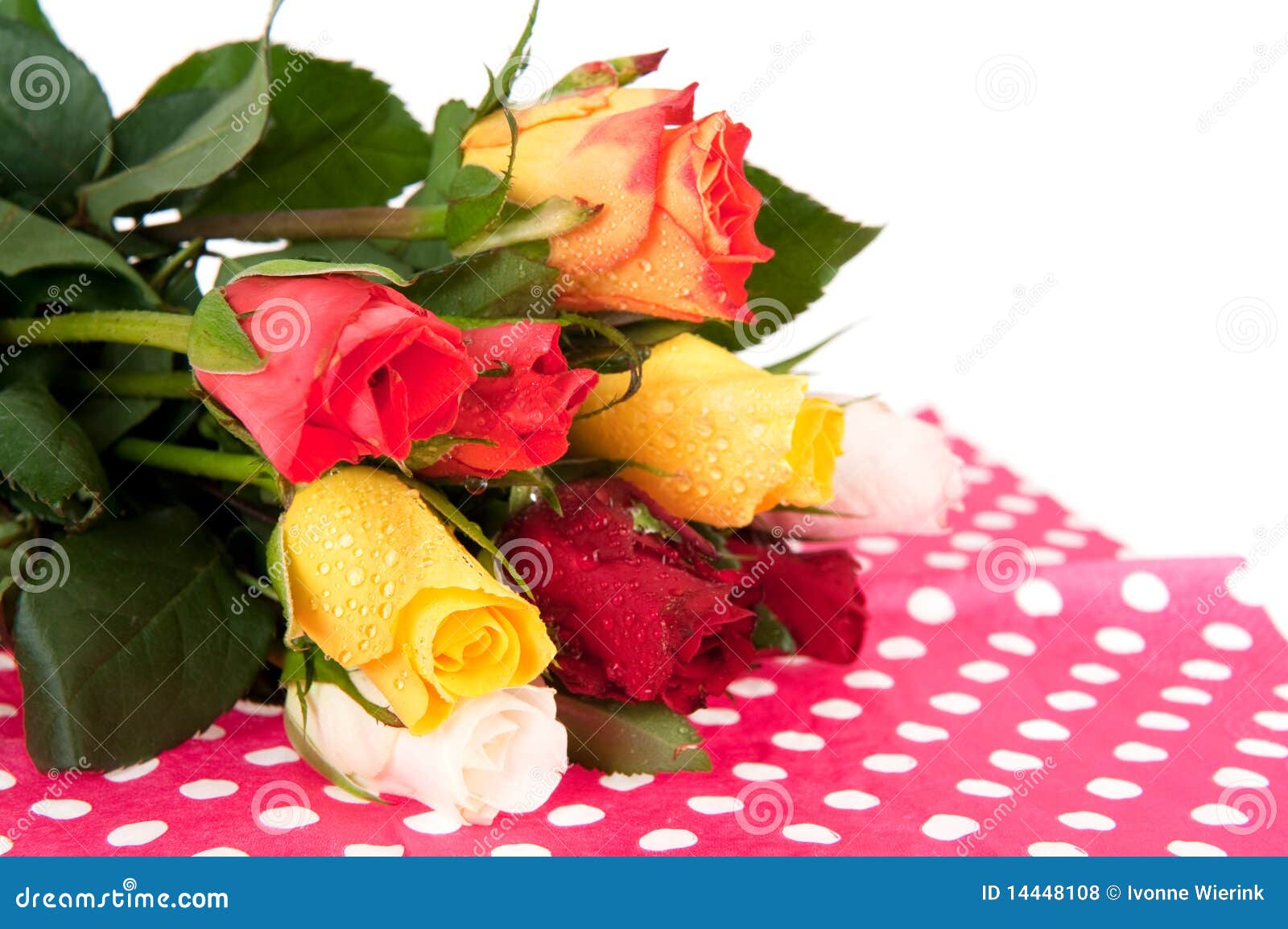 Colorful bouquet of roses stock photo. Image of diversity - 14448108