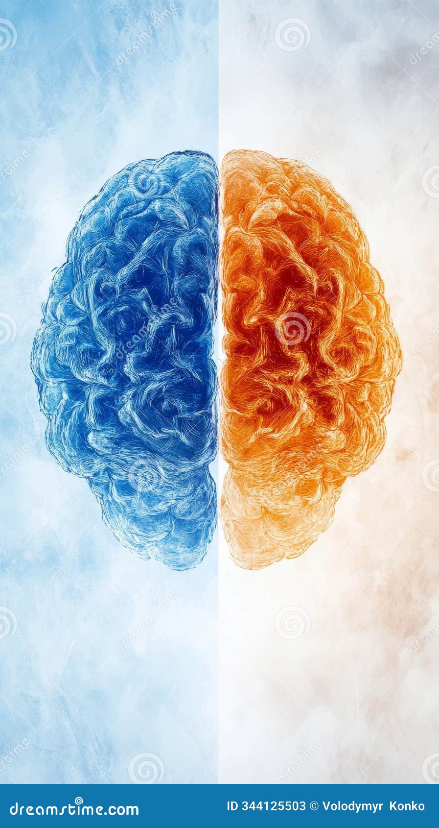 Colorful Brain Divided into Blue and Orange Hemispheres, Abstract Art ...