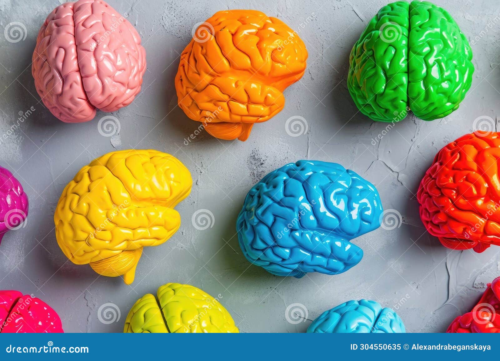 Colorful Brain Model Collection Stock Illustration - Illustration of ...