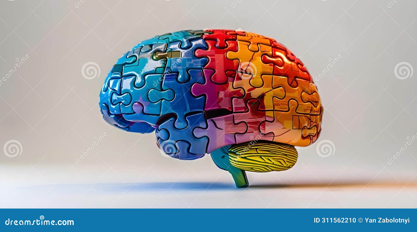 Colorful Brain Puzzle Representing Connections and Functions within the ...