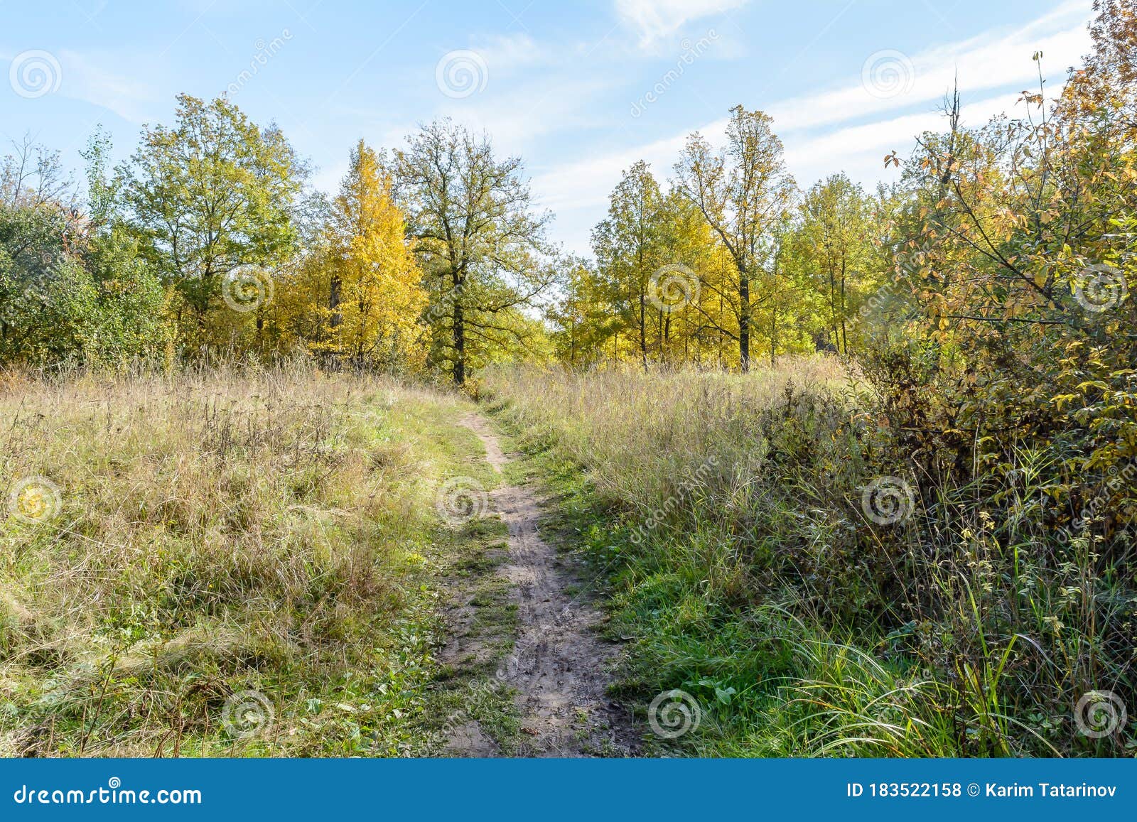 Colorful Bright Beautiful Nature in Early Autumn Stock Photo - Image of ...