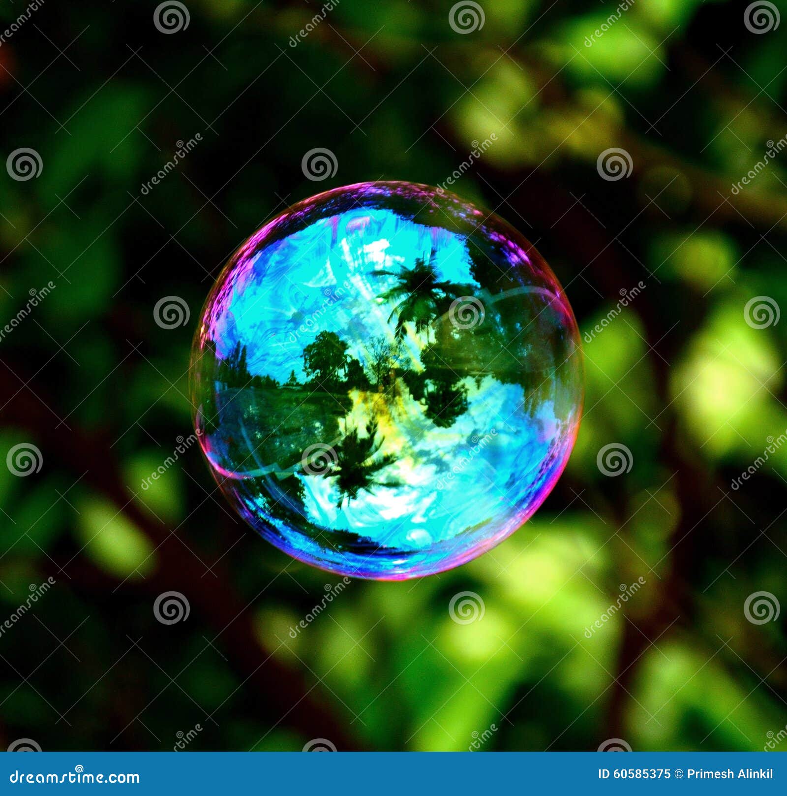 Colorful Soap Bubble Floating In The Green Background Royalty-Free ...