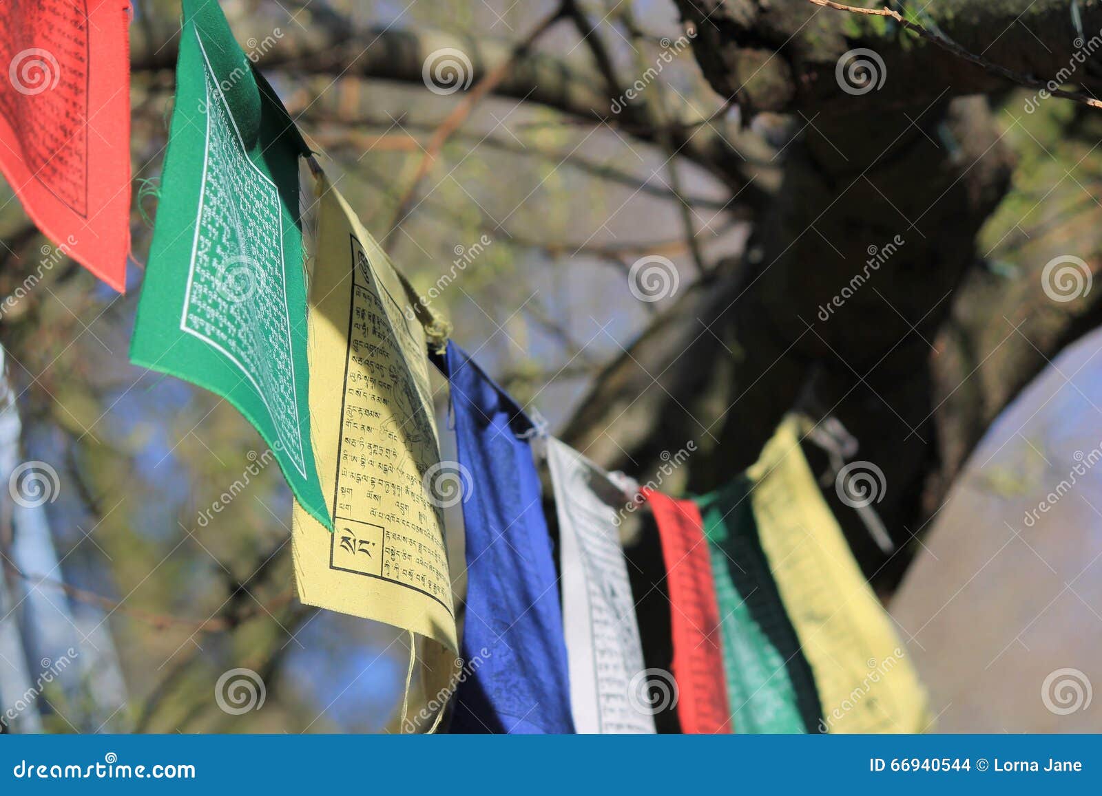 Colorful Buddhism Flags Hanging in a Tree Stock Photo - Image of ...