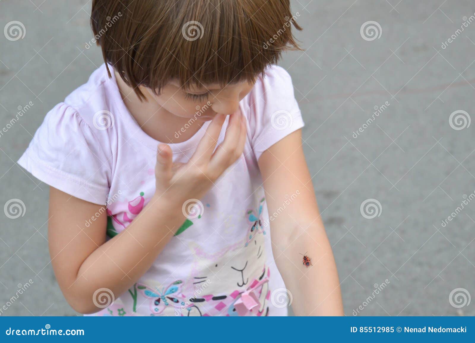 Colorful Bug on Child`s Hand Stock Image - Image of nature, caucasian ...