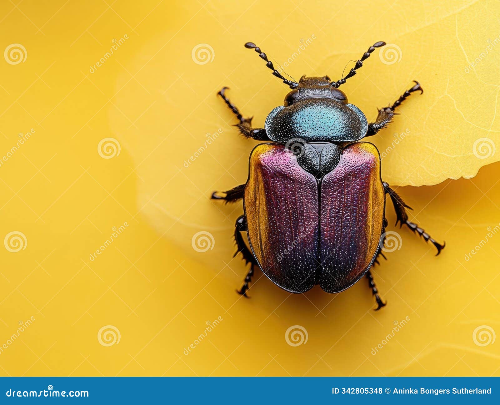 Yellow Surface With Irregular Bumps And Ridges, Generative Ai Stock ...