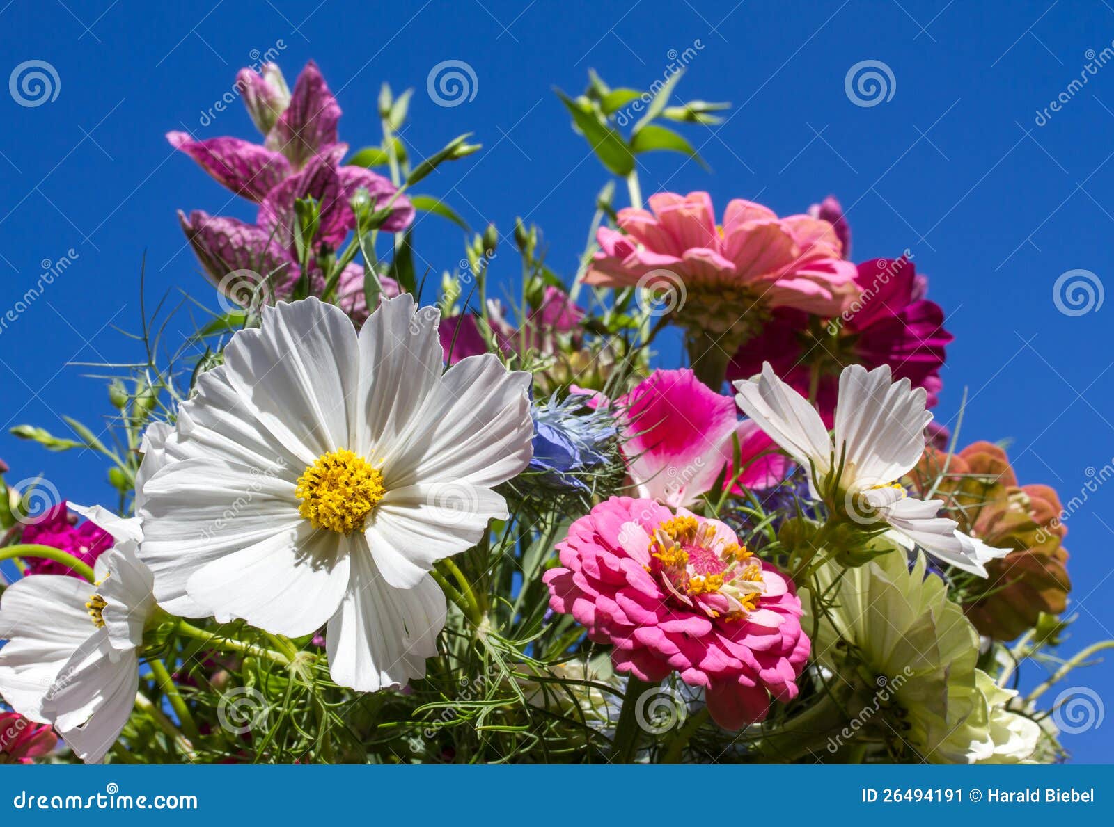 Colorful Bunch of Summer Flowers Stock Image - Image of colorful ...