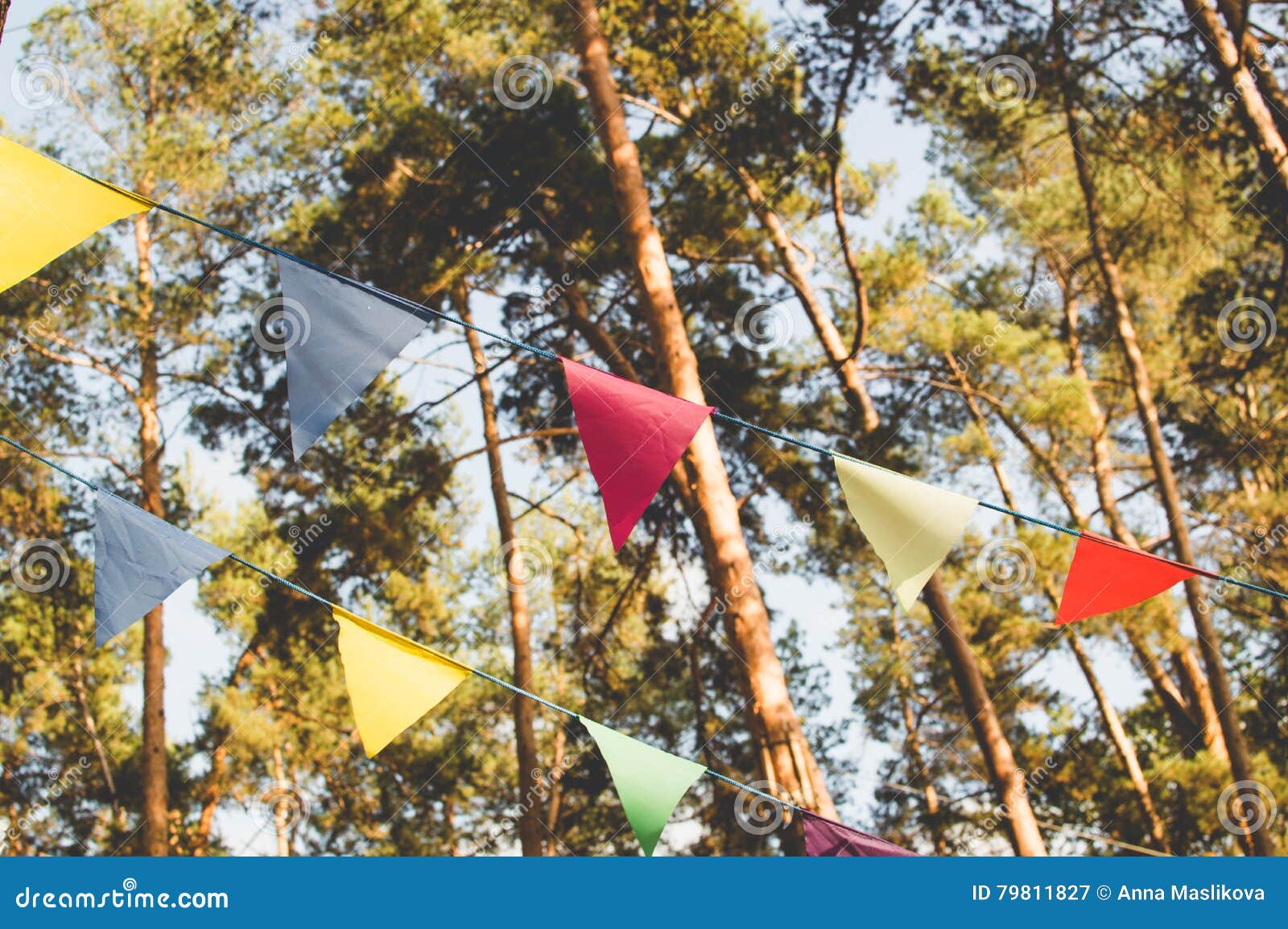 Colorful Bunting Flags in the Park Stock Image - Image of celebrate ...