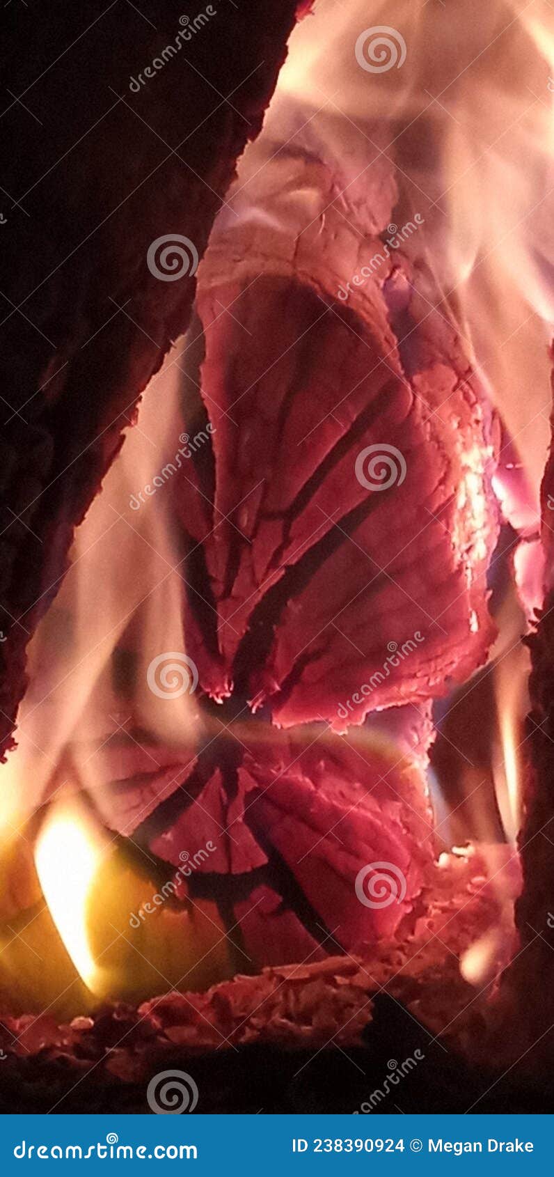 Colorful Burning Campfires stock photo. Image of pink - 238390924