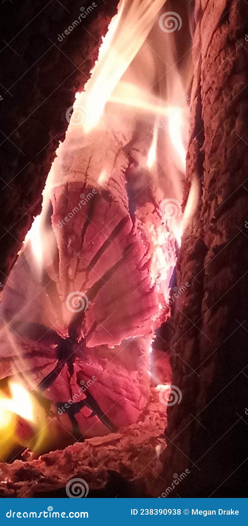 Colorful Burning Campfires stock photo. Image of campfire - 238390938