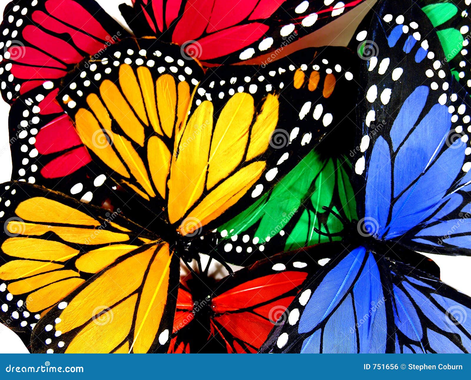 Colorful Butterflies stock photo. Image of insect, flight - 751656