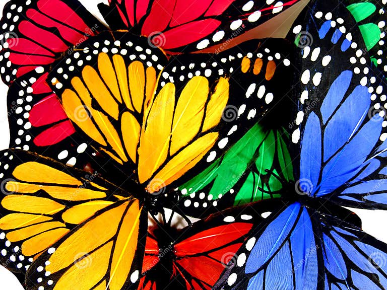 Colorful Butterflies stock photo. Image of insect, flight - 751656