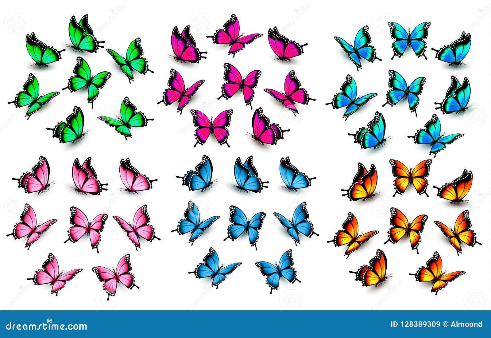 Colorful Butterflies Vector Collection | CartoonDealer.com #36249405
