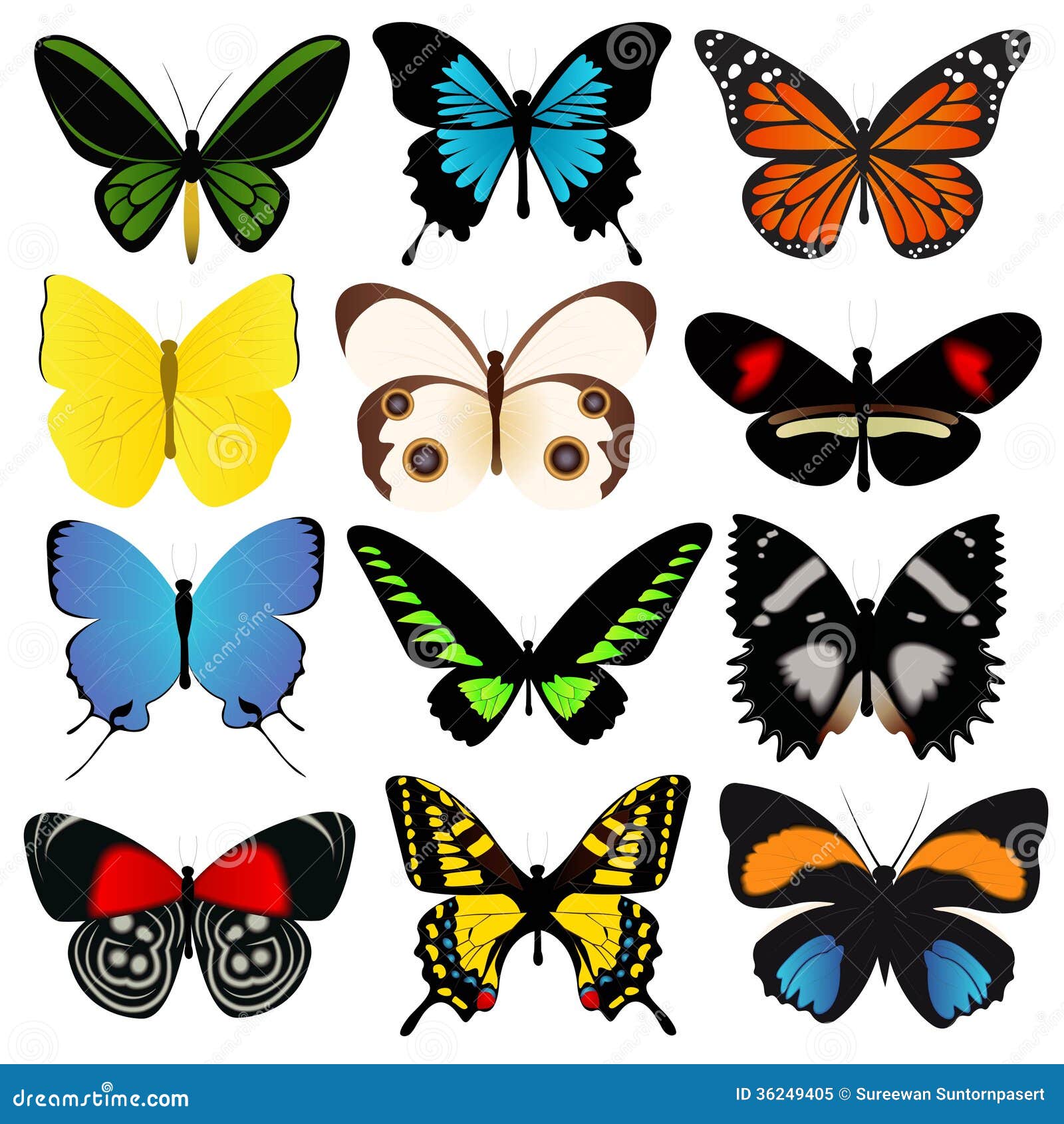 Colorful Butterflies Vector Collection Stock Vector - Illustration of ...