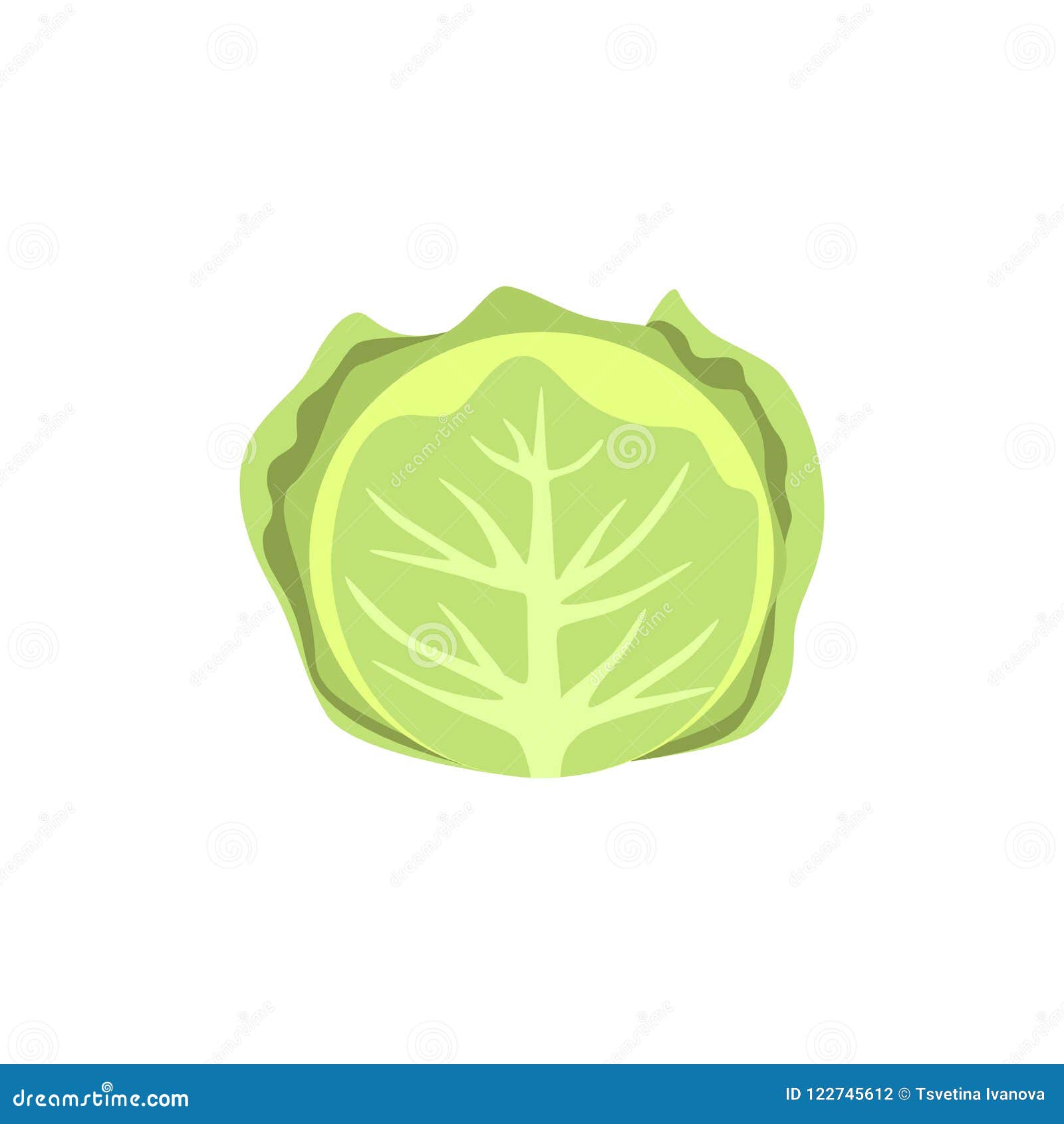 Colorful Cabbage Clipart Cartoon. Cabbage Vector Illustration Stock ...