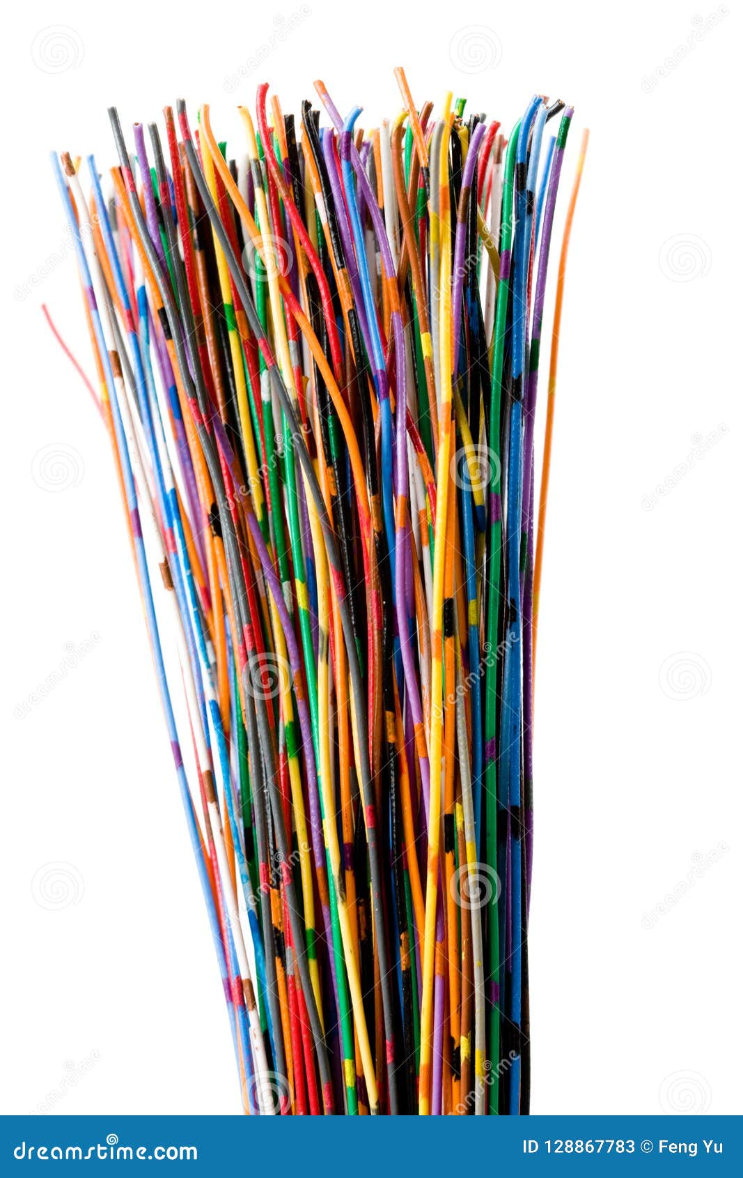 Colorful network Cable stock image. Image of strand - 128867783