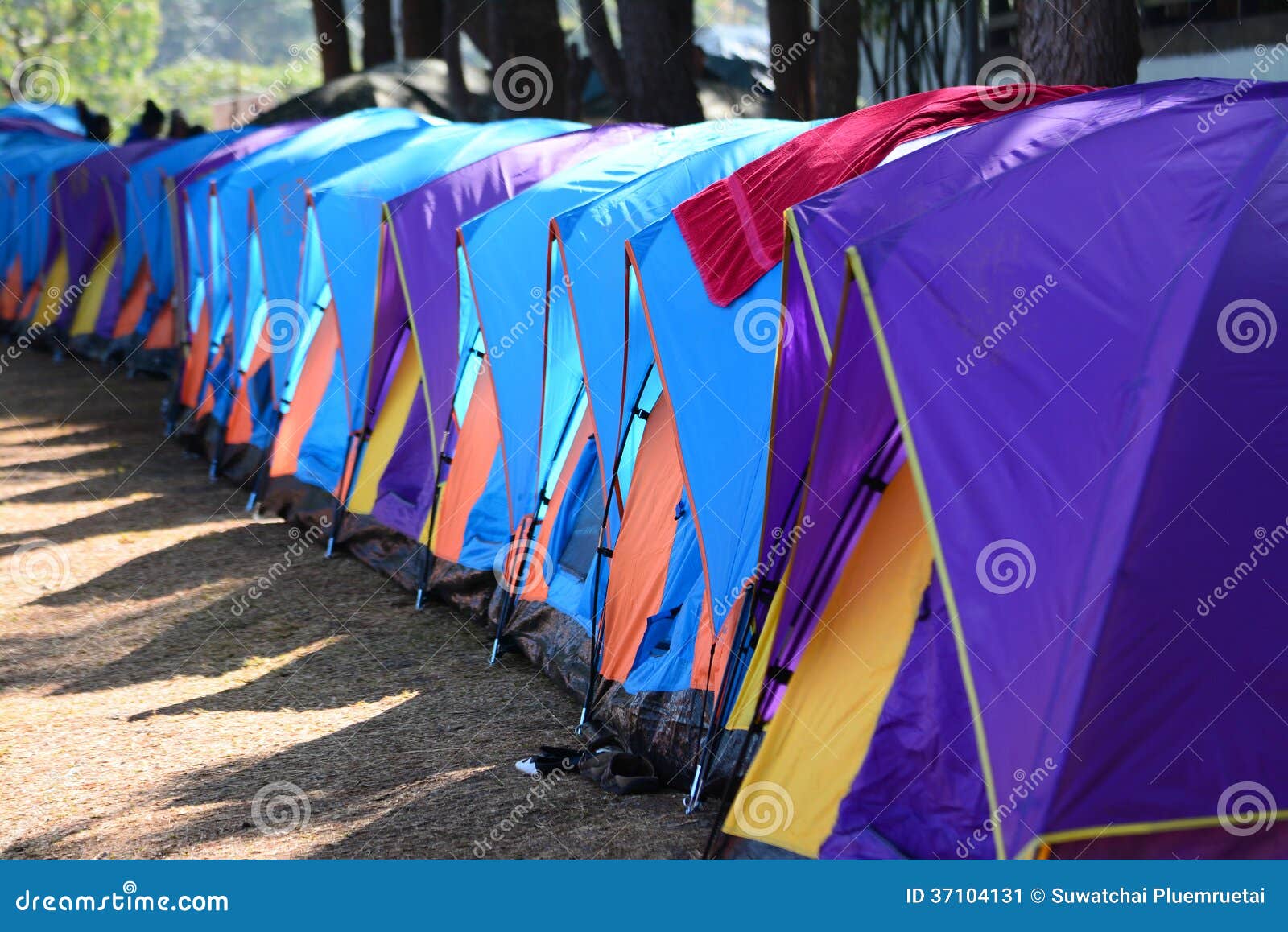 Colorful of camping tents stock image. Image of country - 37104131