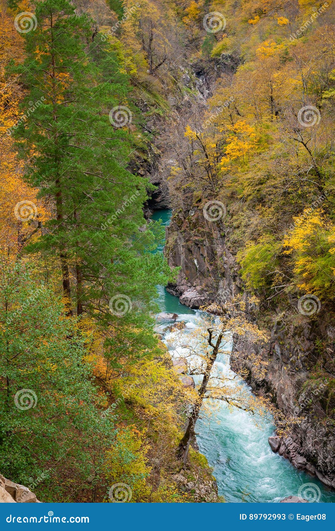Colorful Canyon of Mountain River in Fall Season Stock Image - Image of ...