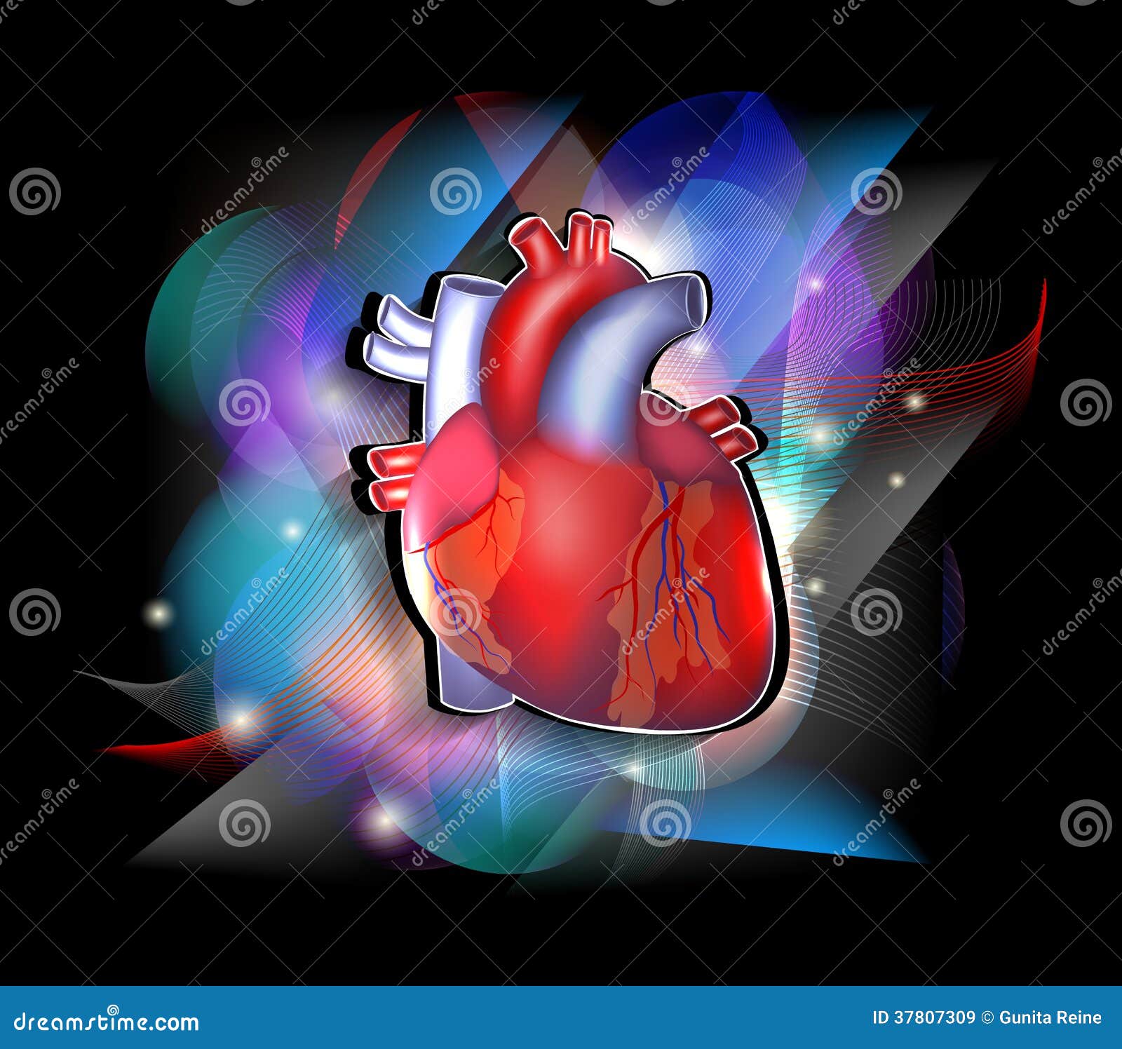 Colorful cardiology design stock vector. Illustration of disease - 37807309