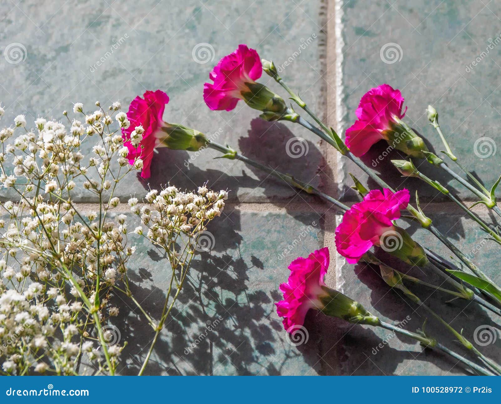 Colorful Carnations with Copy Space on Granite Surface Stock Photo ...